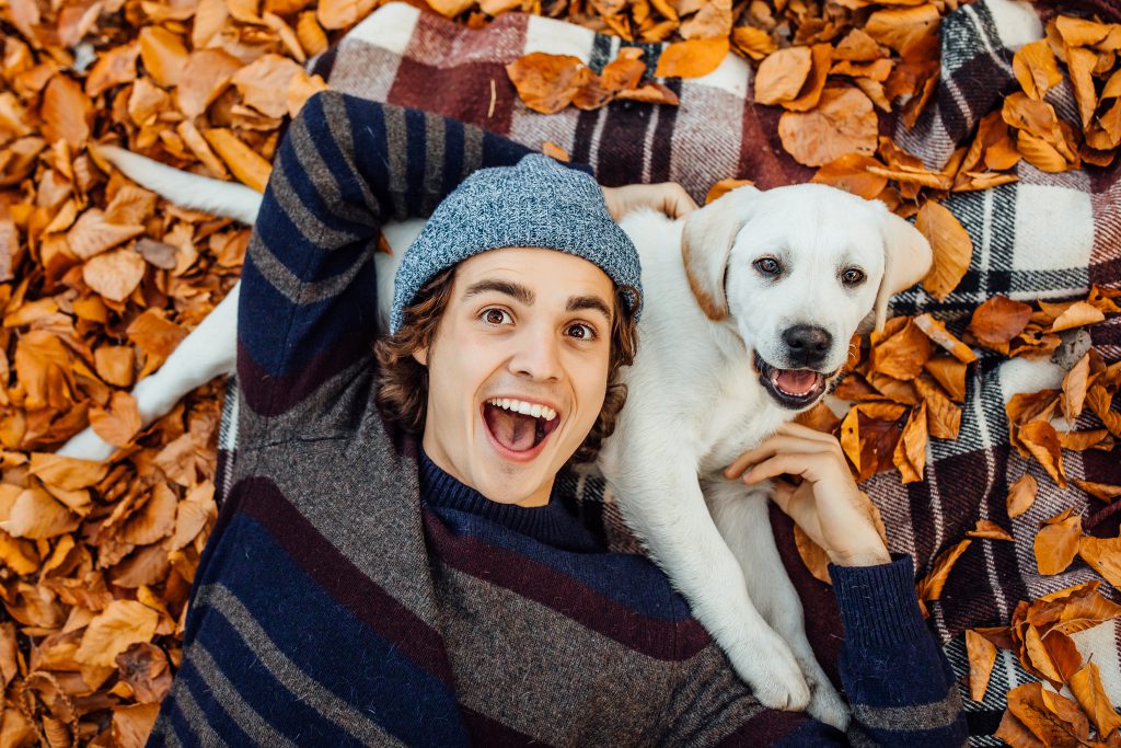 Labrador Retriever - Labrador Time